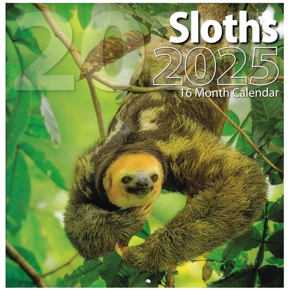 Office | 225 Wall Calendar Sloths 12x24 New | Poshmark